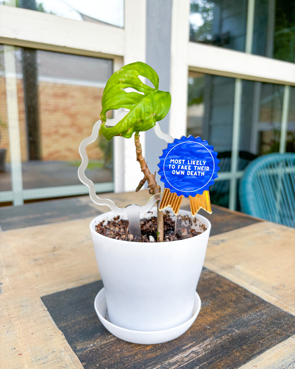 Most Likely to Fake Their Own Death • Plant Stake – Hear & Now